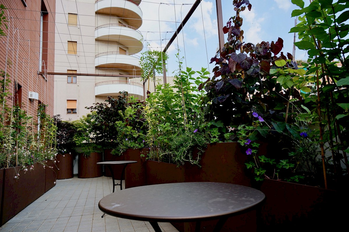 Office Terrace - MS Garden Design