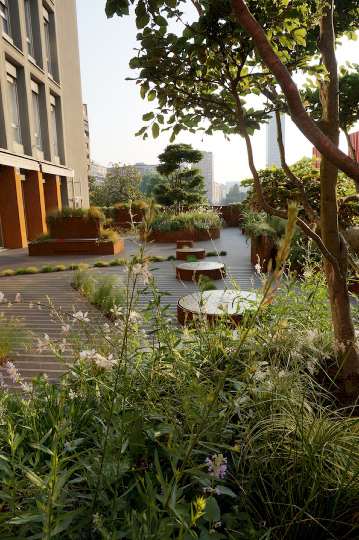 Urban City Terrace - MS Garden Design