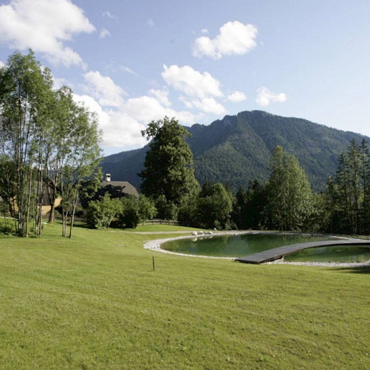 Artificial Lake - MS Garden Design