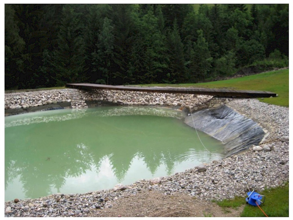 Artificial Lake - MS Garden Design